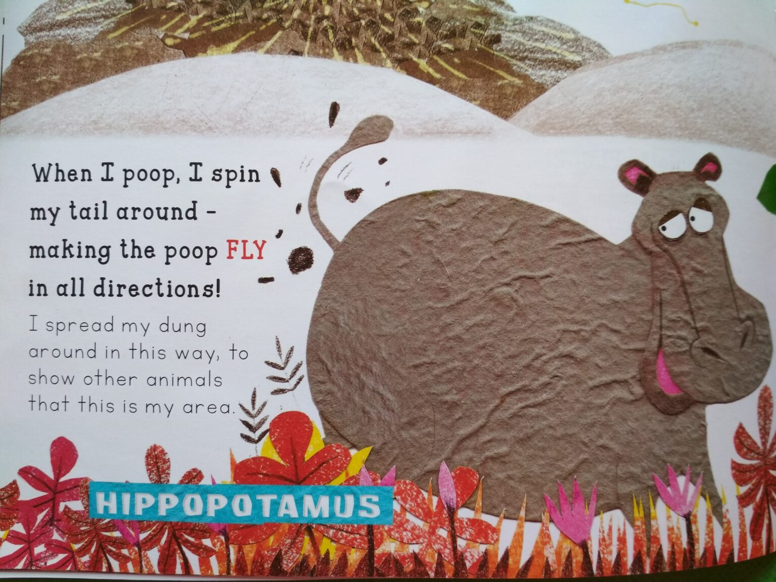 The Poop Book! – Mallika Ravikumar