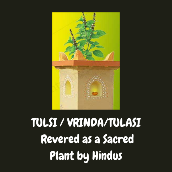 Krishna’s Beloved Tulsi – Mallika Ravikumar